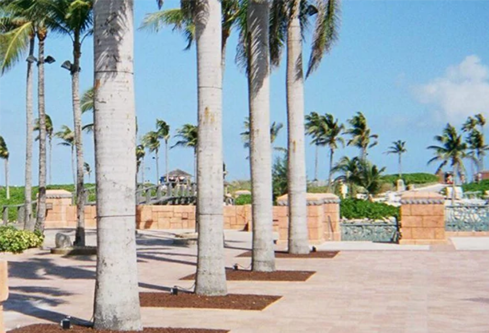 Who We Are | Rubber Designs